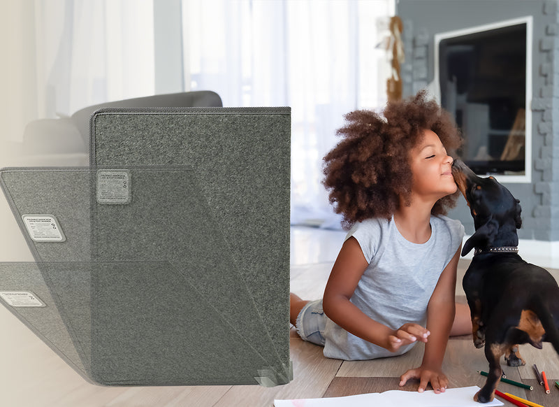 Foldable Space Heater - Silent Radiant Heat Online Store – Whisper Heat
