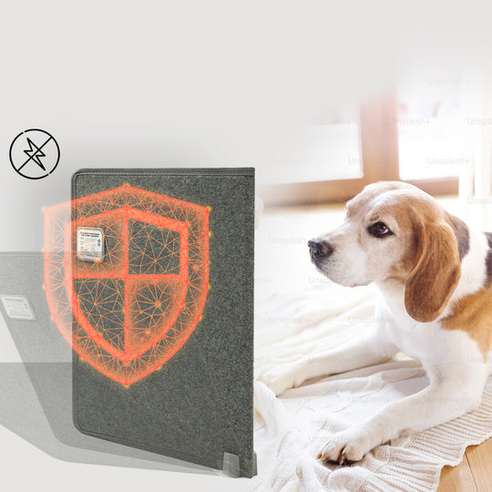 Foldable Space Heater - Silent Radiant Heat Online Store – Whisper Heat